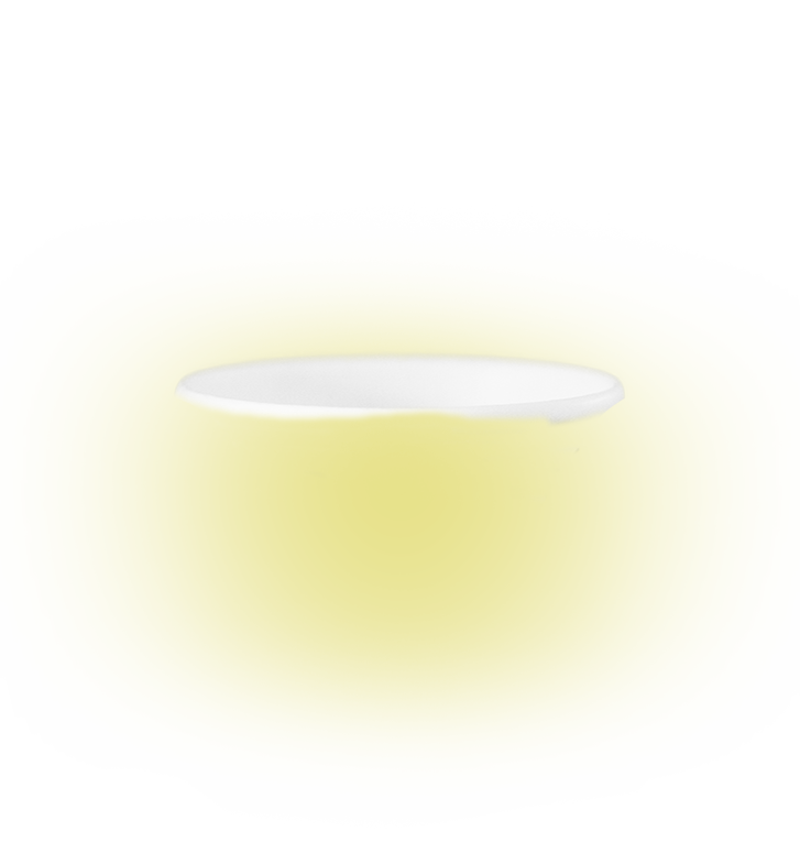 OLD Home | The FroYo House